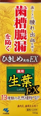 小林製薬 生葉 薬用歯磨き EX 100g×96本 生葉 歯磨き粉 - 最安値・価格比較 - Yahoo!ショッピング