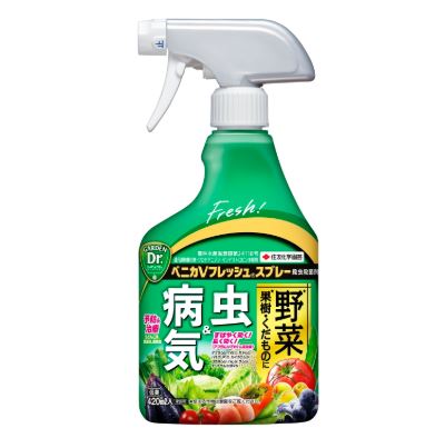 KINCHO園芸 KINCHO園芸（旧住友化学園芸）ベニカVフレッシュスプレー 420ml×30個 園芸用害虫駆除、忌避剤 - 最安値・価格比較 - Yahoo!ショッピング｜口コミ・評判からも探せる