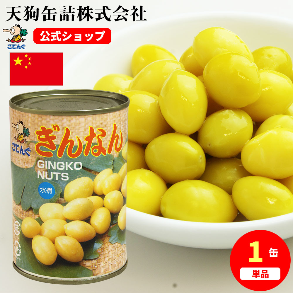 天狗缶詰 ぎんなん 中国産 KM 7号缶 290g×1個 缶詰 - 最安値・価格比較 - Yahoo!ショッピング｜口コミ・評判からも探せる