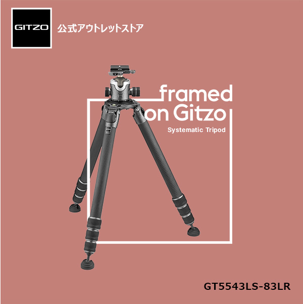 GITZO GITZO システマティックGT5543LS＋雲台GH4383LRキット GK5543LS-83LR システマティック カメラ用三脚 - 最安値・価格比較 - Yahoo ...