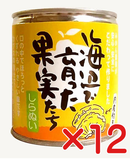 いのうえ果樹園 海辺で育った果実たち しらぬい缶詰 295g×12缶 缶詰 - 最安値・価格比較 - Yahoo!ショッピング｜口コミ・評判からも探せる