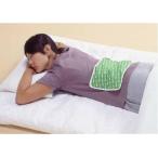 あったか ぽかぽか 冬ギフト ホット&クールパッド Lサイズ F5010 富士パックス販売 ｜ イメキャラブック