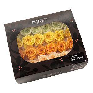 ミモザ(生花)の商品一覧 | 花、ガーデニング 通販 - Yahoo ミモザ(生花)の商品一覧 | 花、ガーデニング 通販 - Yahoo