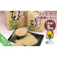 【ふるさと納税】 コシヒカリ 有洗米 玄米 5kg うるち米、玄米 - 最安値・価格比較 - Yahoo!ショッピング