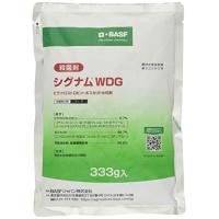 BASF 殺菌剤 シグナムWDG 333g - 最安値・価格比較 - Yahoo!ショッピング｜口コミ・評判からも探せる