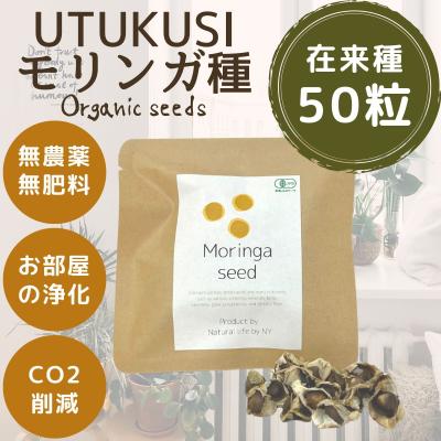 モリンガ 苗の商品一覧 通販 - Yahoo!ショッピング モリンガ 苗の商品一覧 通販 - Yahoo!ショッピング
