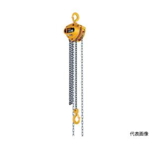 チェーンブロック キトーマイティM3形 定格荷重1.6t 標準揚程2.5m KITO CB015 (61-2976-16) - 最安値・価格比較 - Yahoo!ショッピング
