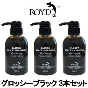 ROYD（ロイド） ブライセス カラーシャンプー ヴァージンブラウン