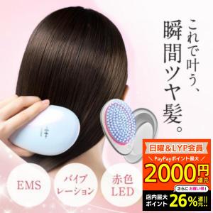 アデランス電気ブラシ スマスビート 充電式 EMS バイブレーション 赤色