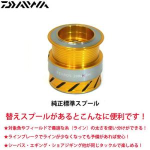 DAIWA（ダイワ） ○ダイワ 23 BG SW 8000-H(4550133347467)用 純正標準