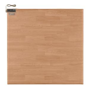 Panasonic（パナソニック） 【1月14日入荷予定】DC-2V5-MC Panasonic