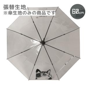 サエラショップ Yahoo!店 - Evereon｜Yahoo!ショッピング