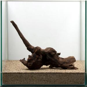 チャーム charm ヤフー店 - 30cm水槽用（一点物）｜Yahoo!ショッピング