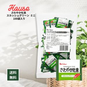 ハウス さわやか吐息 スカッシュグリーン ミニ 3粒×100袋 業務用