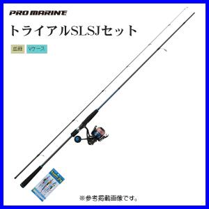 PROMARINE/プロマリン) CB PEゲームショアジグセット 並継 90M 331102