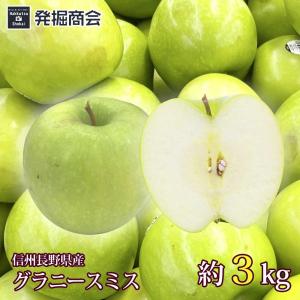 りんご グラニースミス 約3kg 信州 長野県産 期間限定 :grannysmith-3kg:発掘商会 - 通販 - Yahoo!ショッピング
