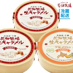 花畑牧場 生キャラメル 北海道産メロン 8粒入×5箱セット 冷蔵 北海道