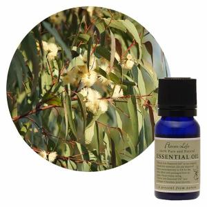 カリス モミ／北海道モミ／トドマツ オイル 20ml (品番：2070) - カリス成城 [アロマオイル/エッセンシャルオイル] カリス モミ／北海道モミ／トドマツ オイル 20ml (品番：2070