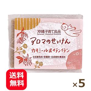 パパイヤ石鹸 100g メール便送料無料 パパイヤ酵素 パパイン酵素 洗顔