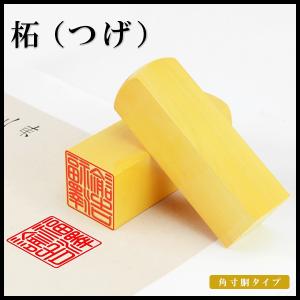 印鑑 はんこ 法人印 実印 柘 天丸用 スプリング付 キャップのみT 印鑑 はんこ 法人印 実印 柘 天丸用 スプリング付 キャップのみT