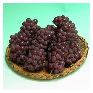 ぶどう デラウェア 武井さんの「種なしデラウェア」2kg :a15001010:いいもん味撰(いいもん・あじせん) - 通販 - Yahoo ...