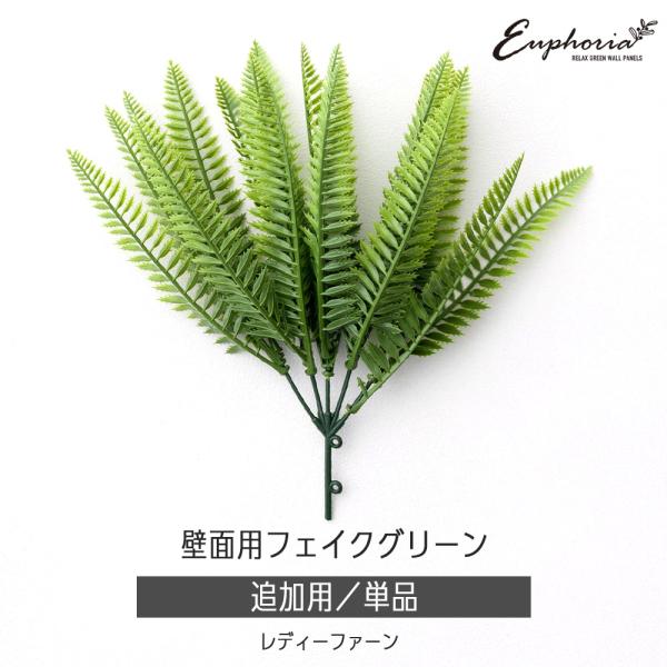 ニシキシダのおすすめ人気ランキングTOP15 - Yahoo!ショッピング