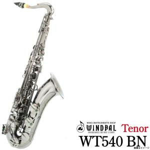 イシバシ楽器 17ショップス - テナーサックス（管楽器）｜Yahoo!ショッピング