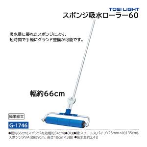 TOEI LIGHT（トーエイライト） 5段階調節トレーニングハードル G-1657
