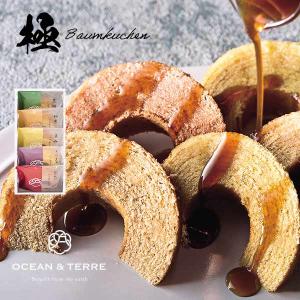 中島大祥堂 ロカボ・スタイル チーズケーキ 〈LS-CCC〉 6本×8セット 48