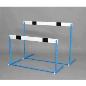 TOEI LIGHT（トーエイライト） (個人宅配送不可)(送料別) フレキシブル