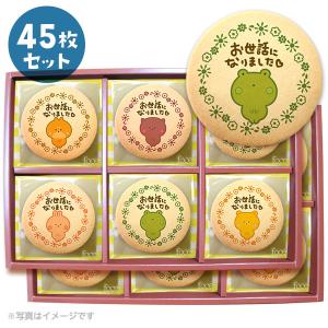 誕生日 お菓子 ねこ メッセージクッキー お得な45枚セット 箱入り お礼
