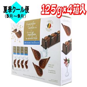 ハムレット チョコチップス 24P オレンジ 12箱 100000767