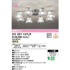 ODELIC 安心のメーカー保証 OC257174LR(ランプ別梱包 ODELIC 安心のメーカー保証 OC257174LR(ランプ別梱包