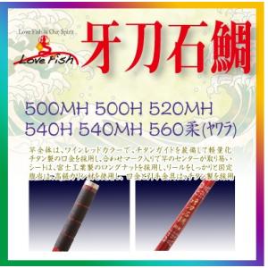 ロッドコム 牙刀 石鯛 520MH 5.2m ロッド 磯竿 @170 : 釣具 ロッドコム 牙刀 石鯛 520MH 5.2m ロッド 磯竿 @170 : 釣具