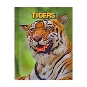 Tigers (Library Binding) - 最安値・価格比較 - Yahoo!ショッピング｜口コミ・評判からも探せる