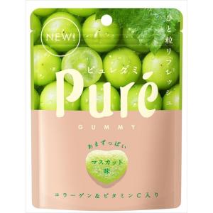 カンロ ピュレグミ マスカット 56g×6袋 :4901351058640:おかげさまマーケット - 通販 - Yahoo!ショッピング