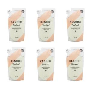 &NINE（アンド・ナイン） ケシキ シャンプー 480ml ×6点セット