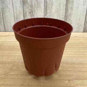 スリットポット 10cm (1鉢) :SLITPOT-WD100-01:フラワーショップ POCOLOCO - 通販 - Yahoo!ショッピング