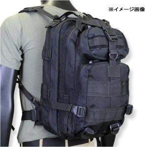 DIRECT ACTION バックパック 30L GHOST MK2 3day [ レンジャーグリーン