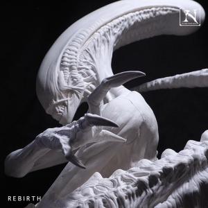 ROSWELL JAPAN - NARIN STUDIO｜Yahoo!ショッピング