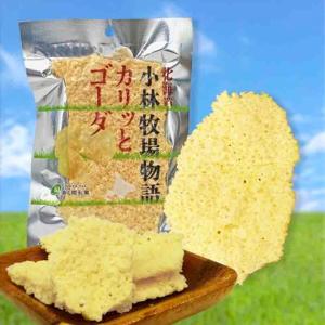 北海道 小林牧場物語 手づくりブルーチーズ 200g チーズ 乳製品