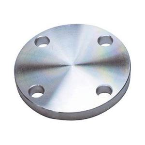 4"(100A)×5K ステンレス SUS304 5K 閉止フランジ SUS-5K-BL-FF :SUS-5K-BL-FF-100A ...