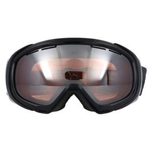 ALPINA（アルピナ） （メンズ）ウインターゴーグル NAKISKA Q-LITE