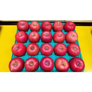 ヤマサン おやつな果実 フリーズドライ りんご フルーツ ドライ