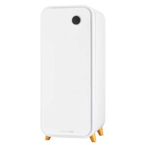 SMEG 冷蔵庫 ライムイエロー ［1ドア /右開きタイプ］ FAB28RLI5JP