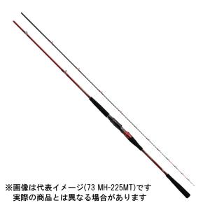 DAIWA（ダイワ） 19 ゴウイン ブル GS HH-175・Y 【大型商品3