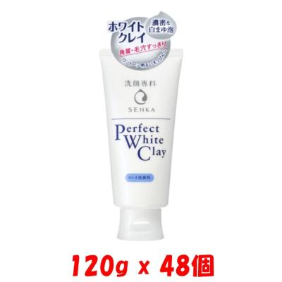 SHISEIDO 専科 パーフェクト ホワイトクレイ 120g×48 専科 洗顔 - 最安値・価格比較 - Yahoo!ショッピング｜口コミ ...
