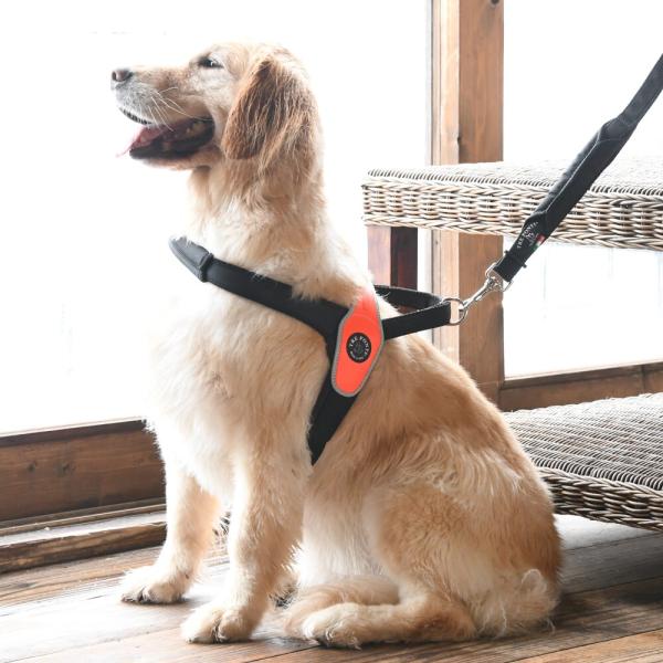 型番：LTP200-6500ブランド：トレポンティ商品名：プリモ　リフレクティブカラー：イエロー/ピンク/オレンジ/ブラック/レッド/ホワイト/スカイブルー/ミント/ラベンダー