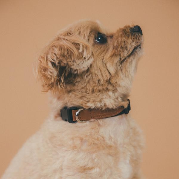 型番：51496075305ブランド：ロウェル シングス商品名：MATIE/首輪【Produce by 有末 麻祐子】カラー：ブラック/ベージュ/カーキ
