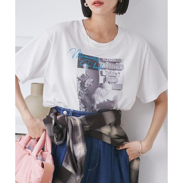 型番：BVM15330ブランド：ビス商品名：フォト＆ロゴアソートTシャツカラー：ホワイト(10)/ホワイト系(11)/ブラウン系(23)